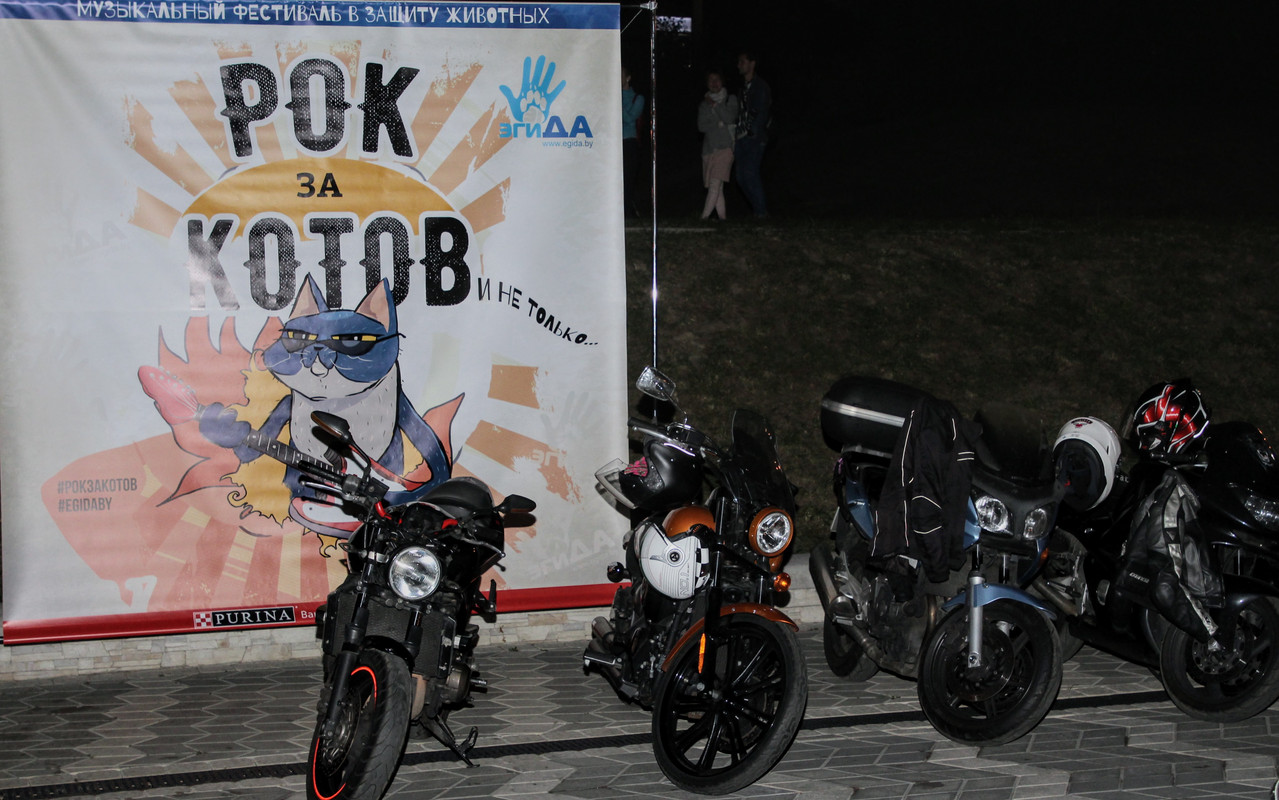 IMG 4929 — Postimages