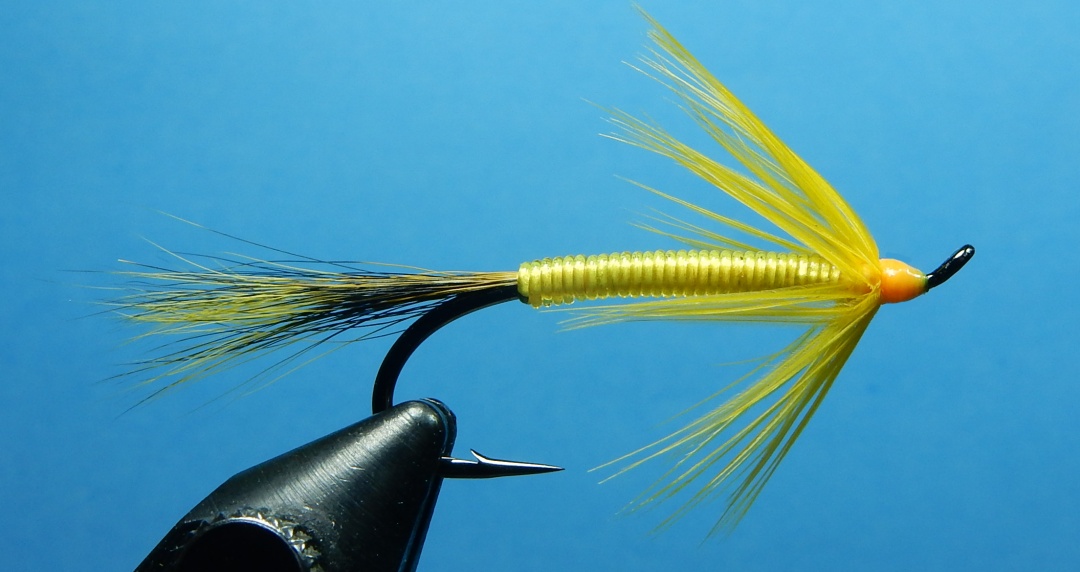 Dean River Lantern - Fly Tying - Maine Fly Fish
