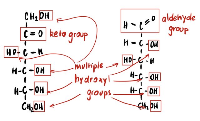 What functional groups are present in the *simple sugars* (m | Quizlet
