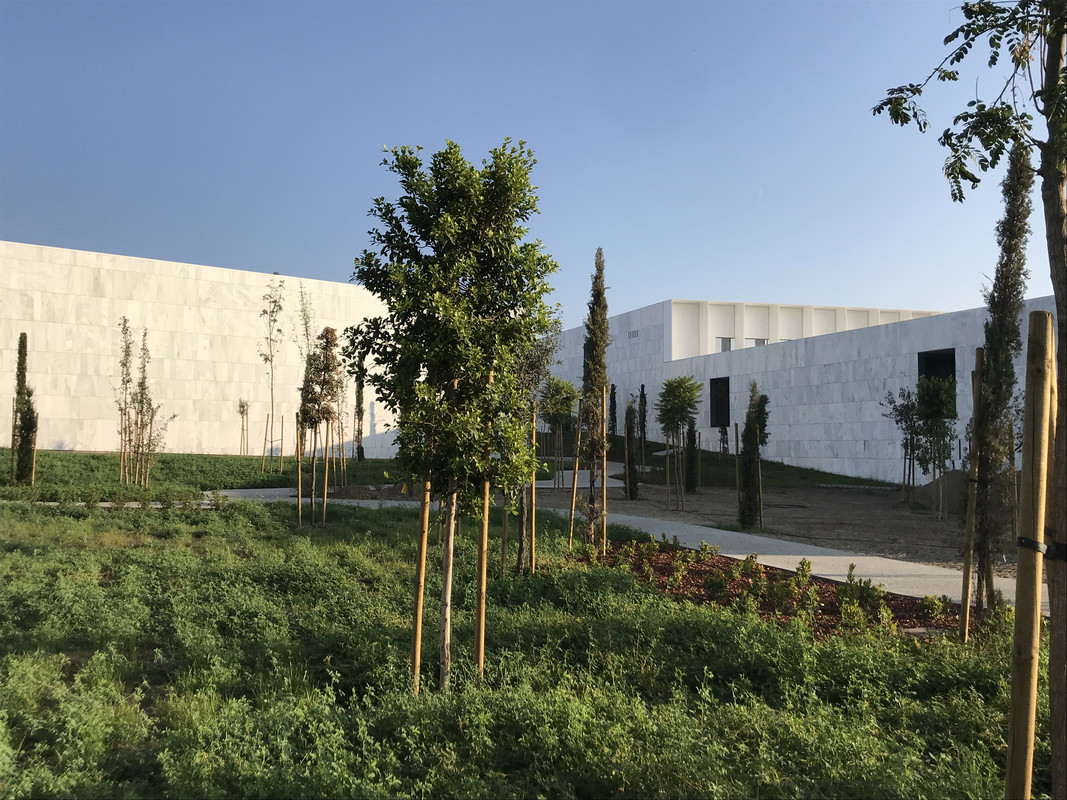 81 DC31 D3 CCA6 4295 BCD7 2429 E2644 DD2 — Postimages