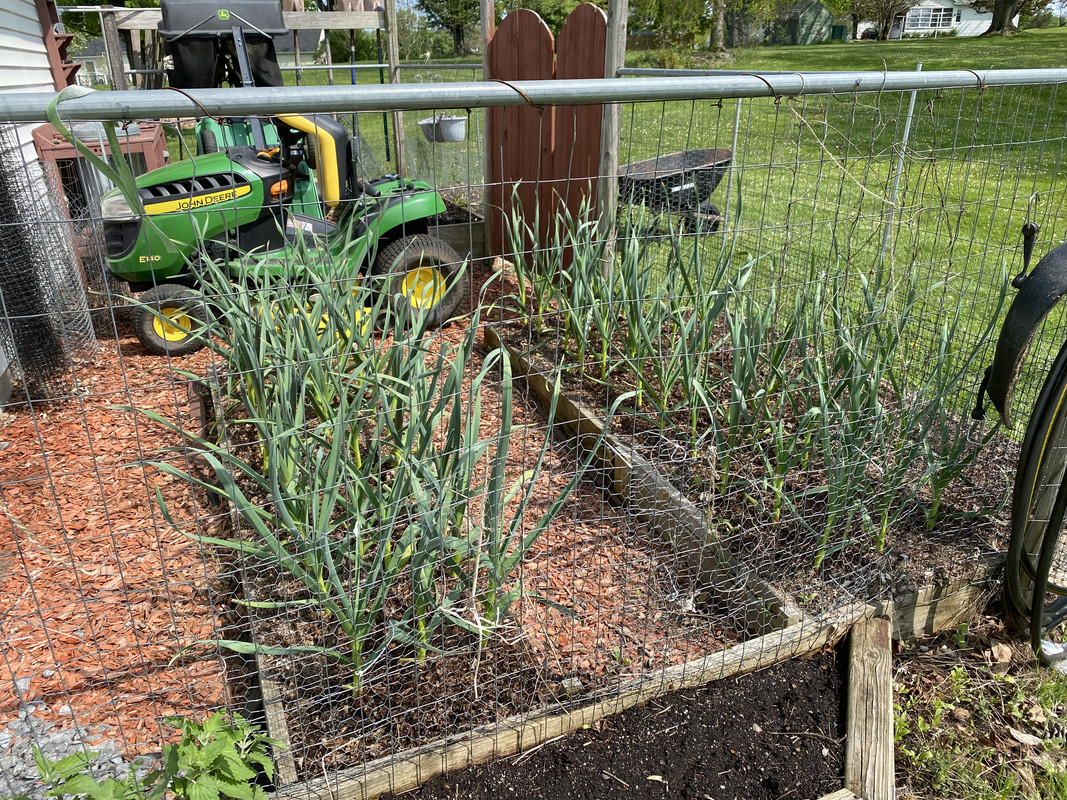 IMG 0152 — Postimages