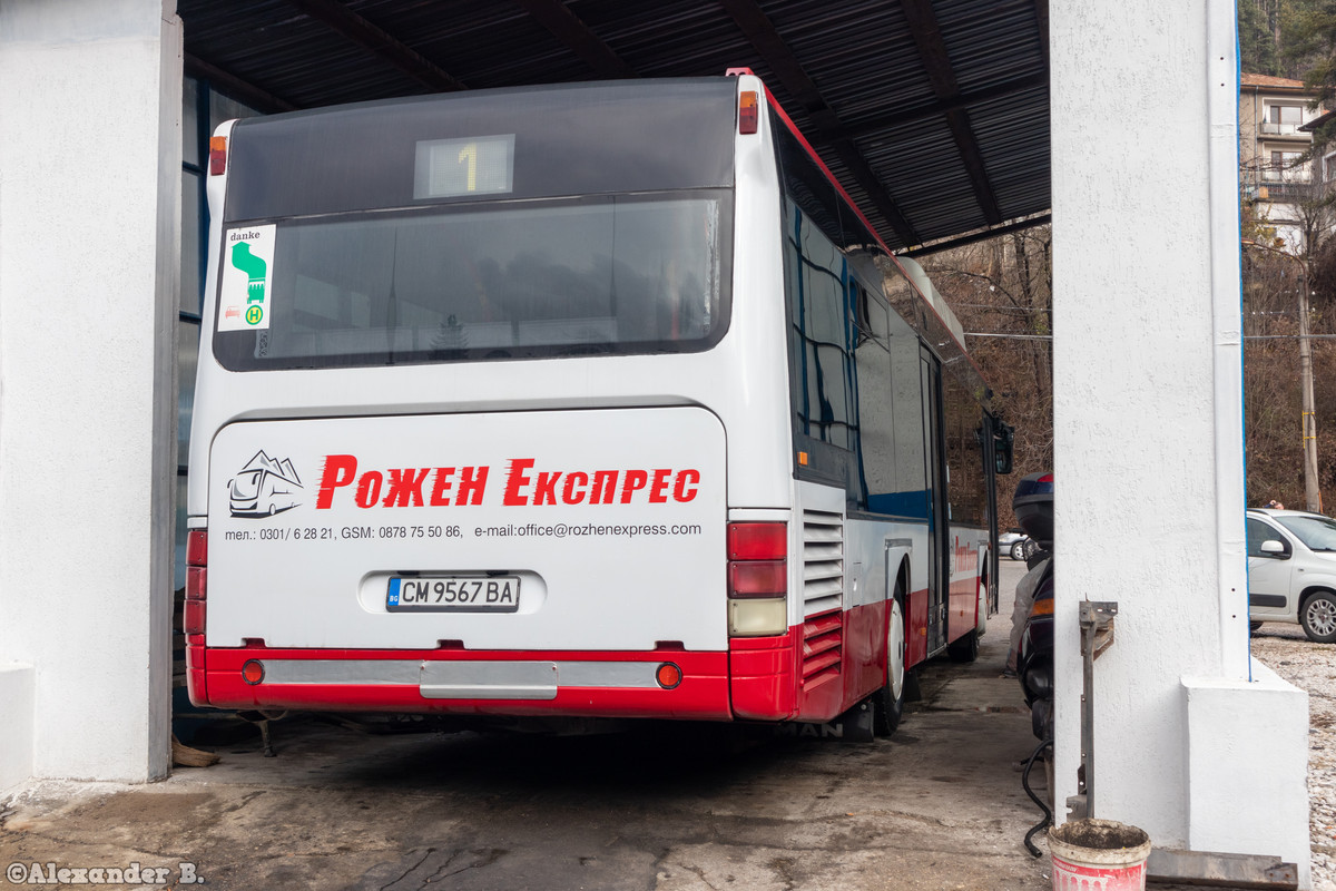 IMG 3389 — Postimages