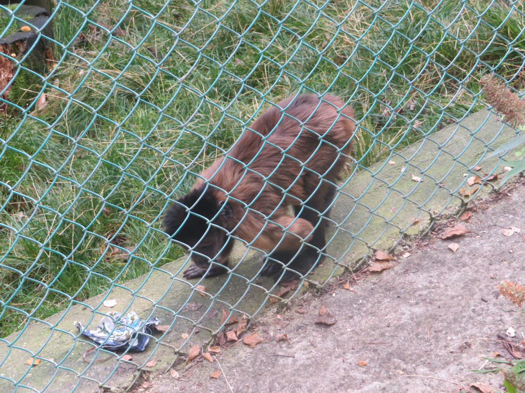 IMG 1219 — Postimages