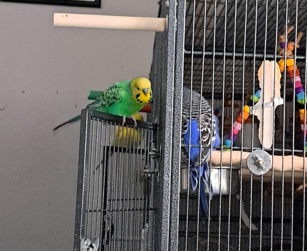 20240905 114550 — Postimages