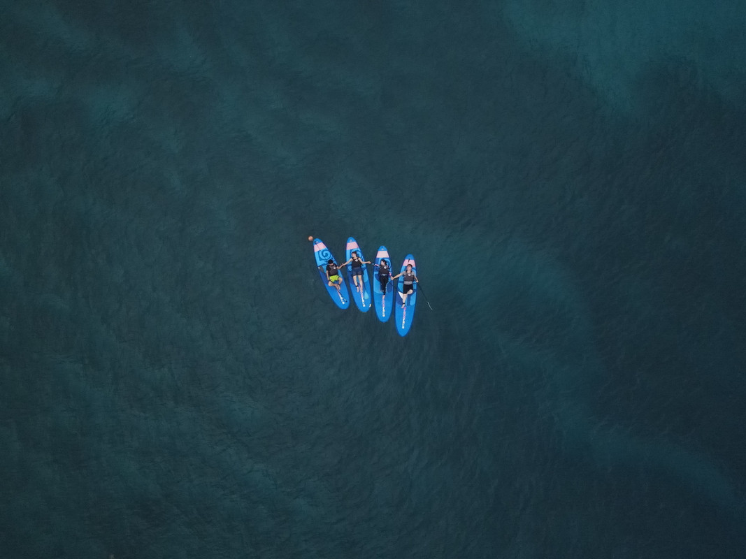 50887445 7580 4 F7 A B66 F 417 C735 A38 FC — Postimages