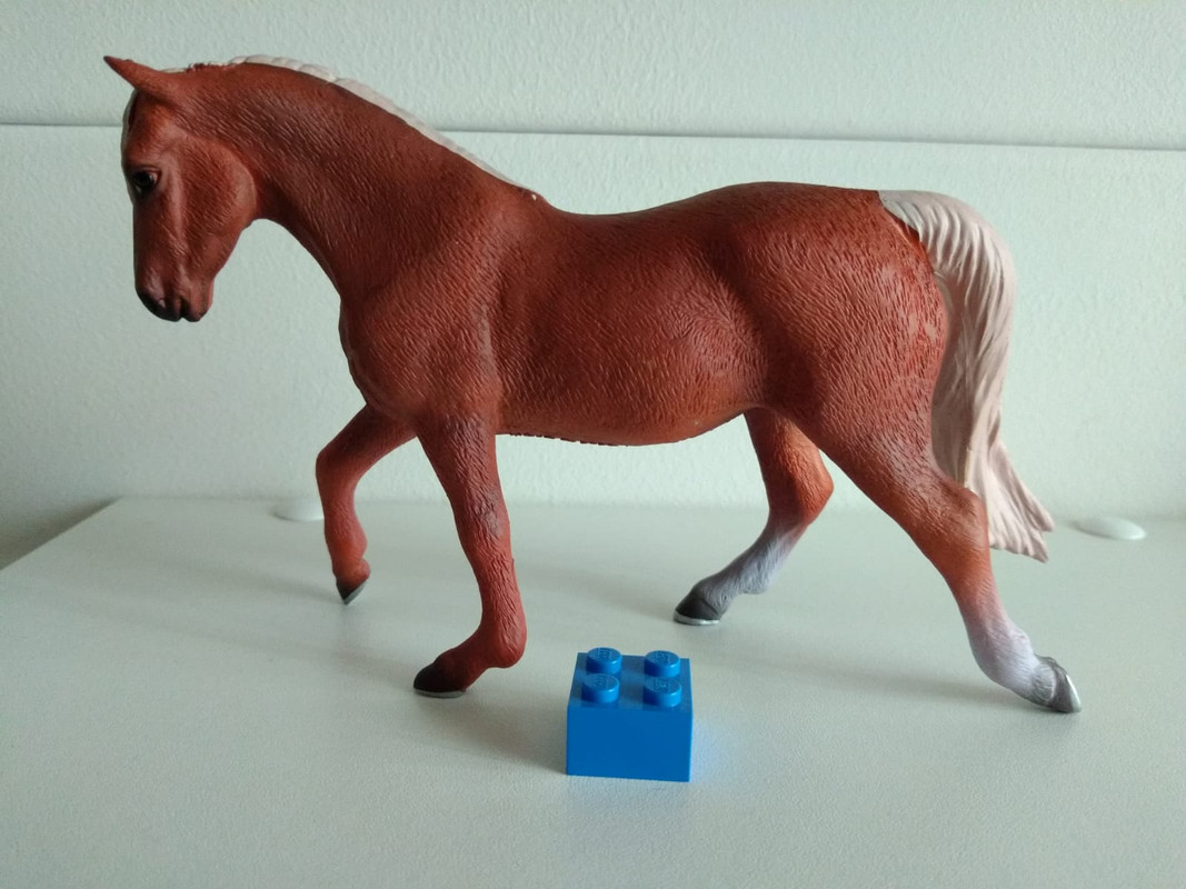 Wild and Farm animals 2020 from Mojo Fun!