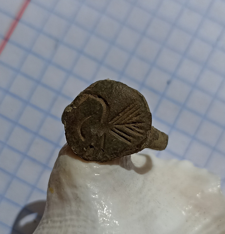 IMG 20220529 180006 — Postimages