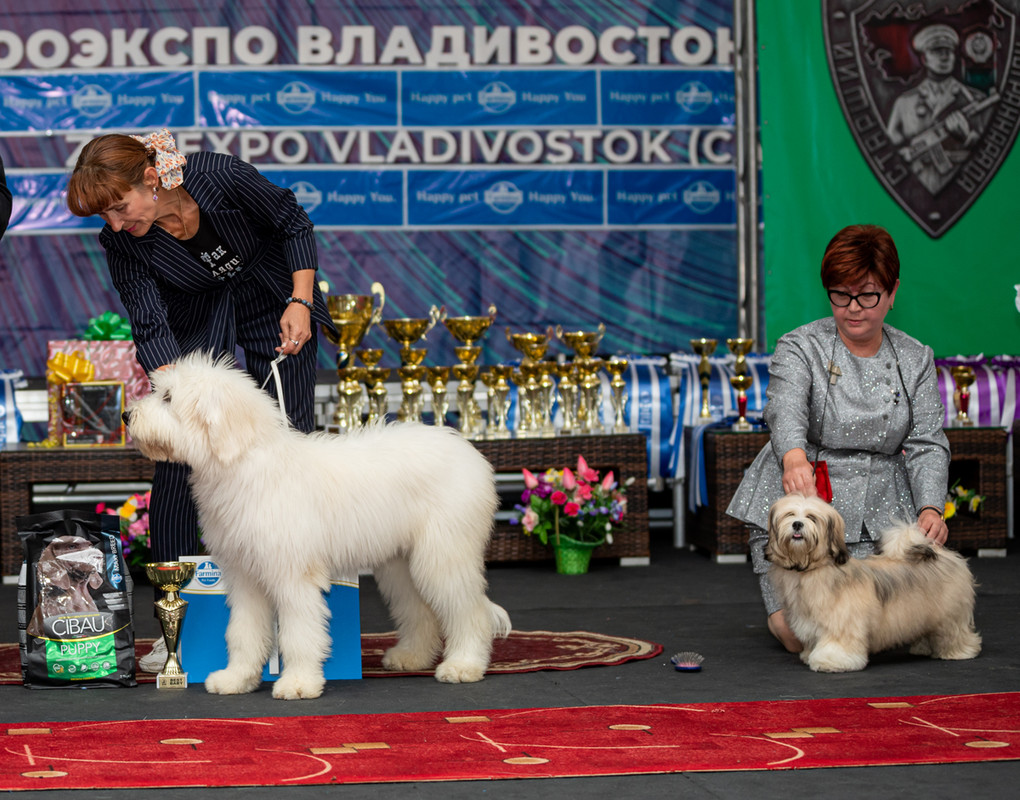 02 1209 — Postimages