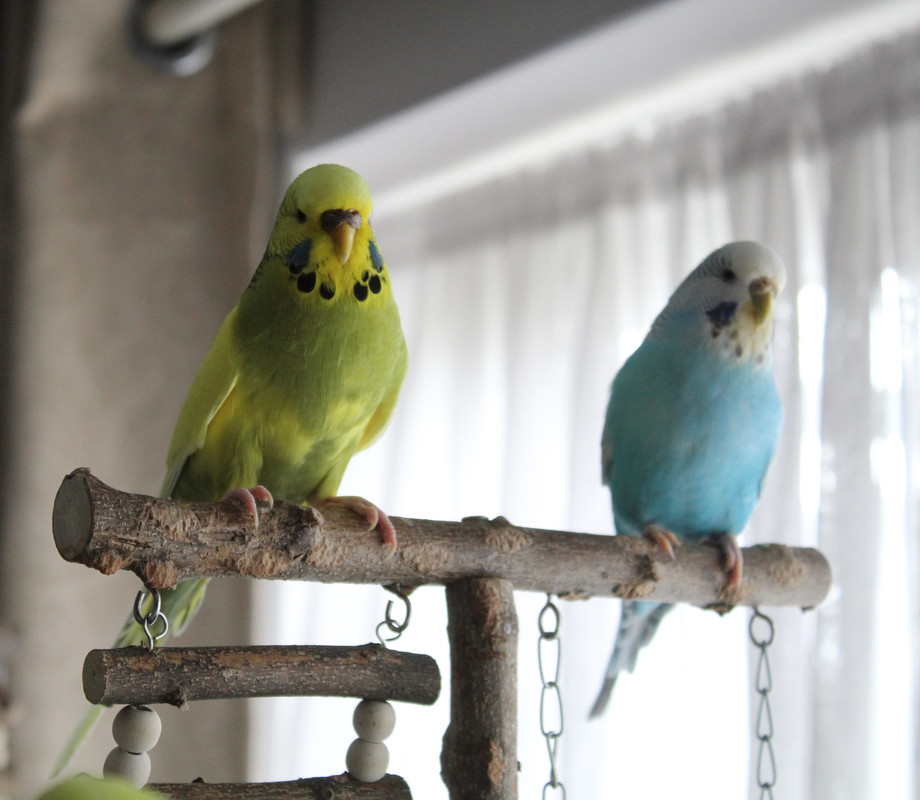 20230913154705 img 1112 — Postimages