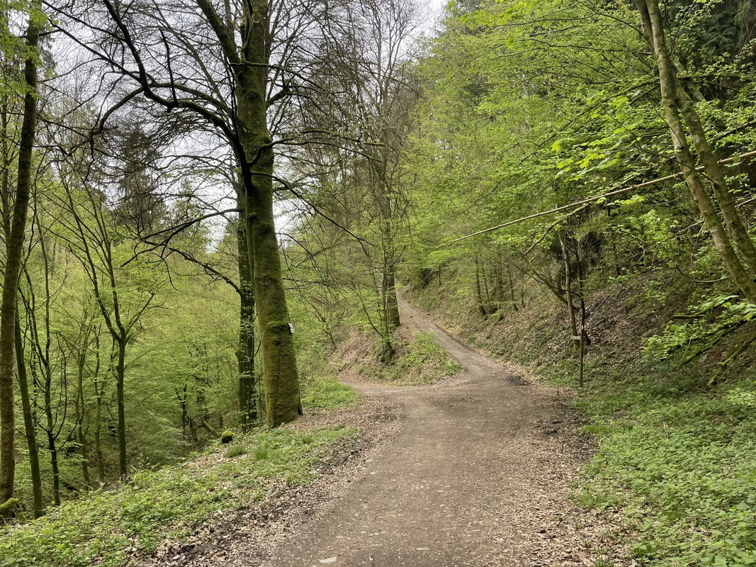 2 F0 A2 DC3 4849 4 CCA BA28 D3 CF7517 B213 — Postimages