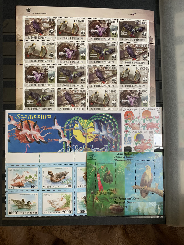 IMG 0705 — Postimages