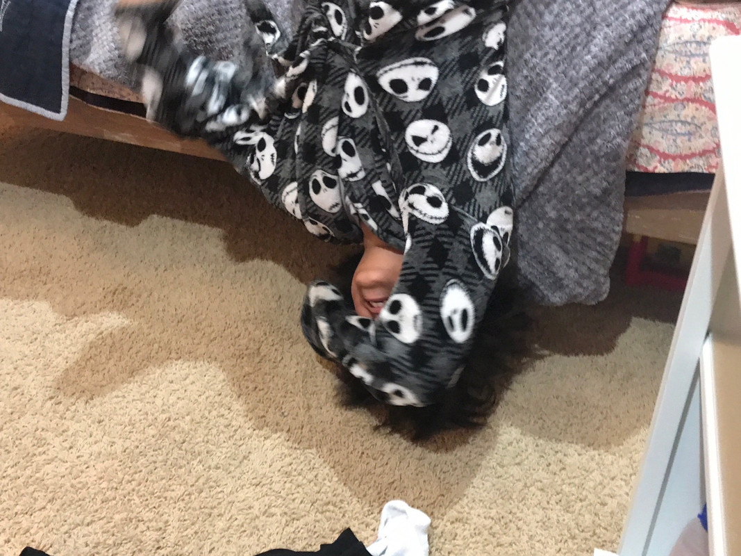 Img 3118 Https Postimg Cc Xr Vsj3 Dg Postimages