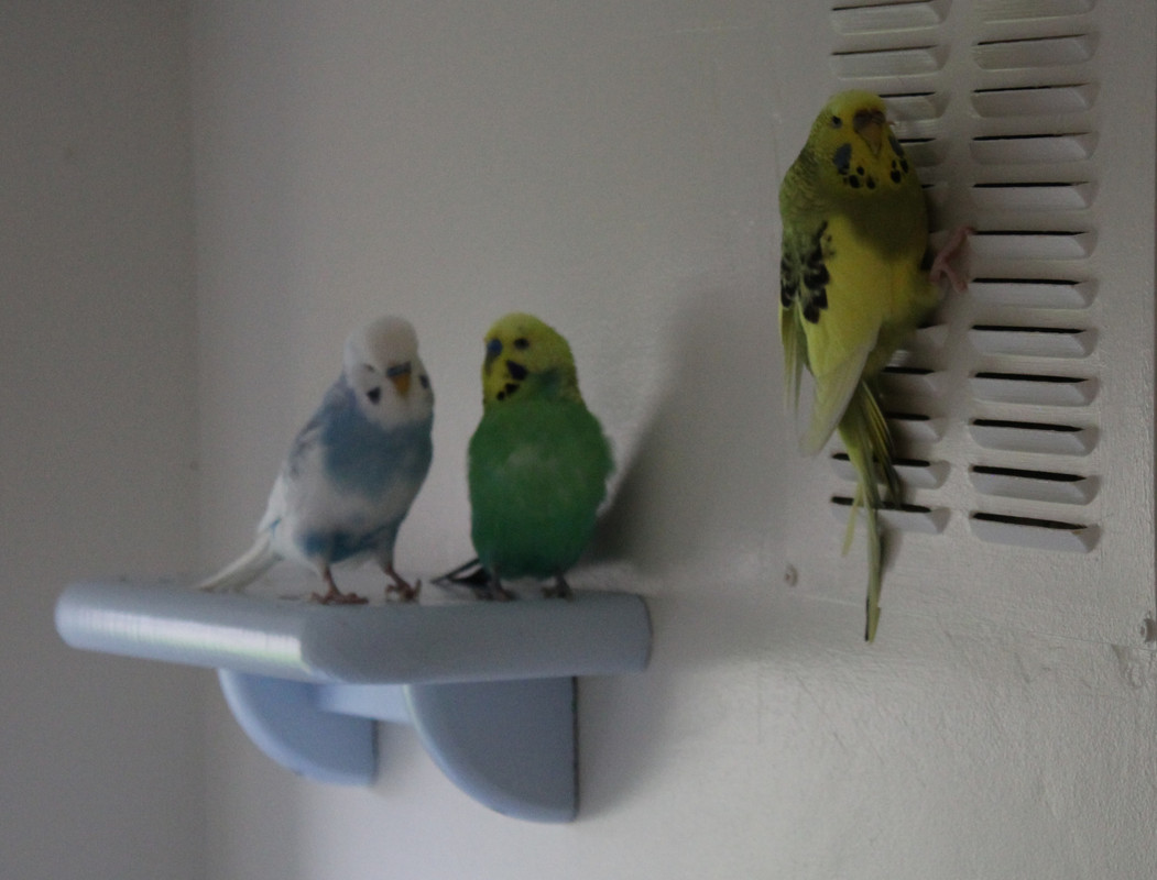 20240219143233 IMG 3053 — Postimages