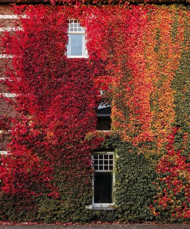 Screenshot 20231126 221640 Instagram — Postimages