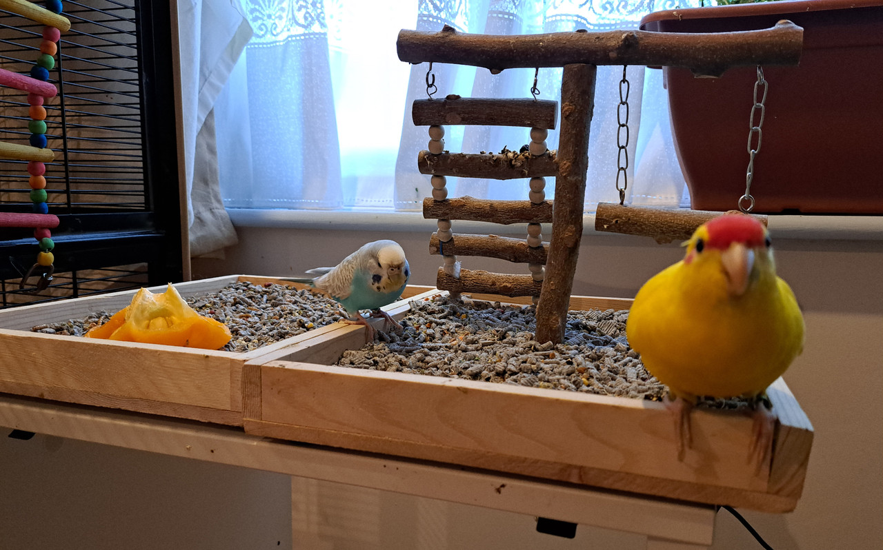 20221218 110749 — Postimages