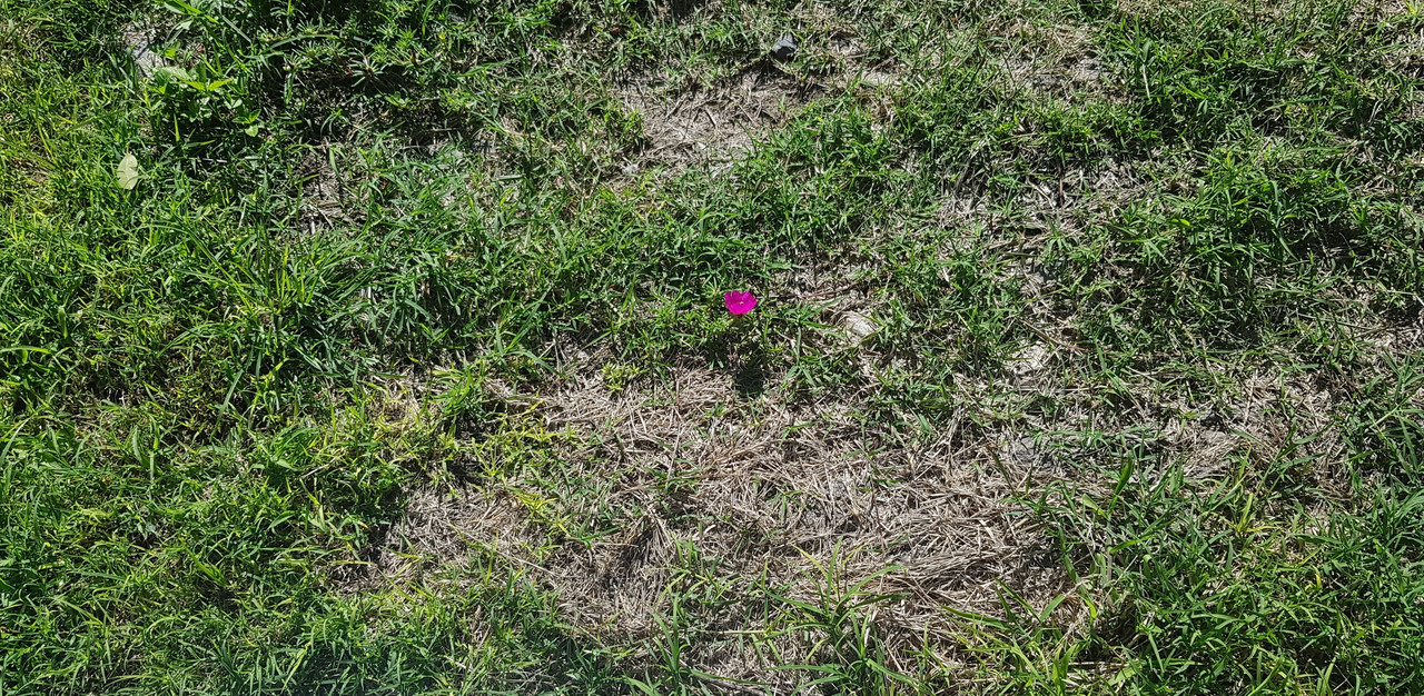 ground 1 C — Postimages