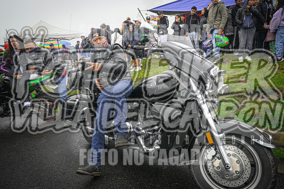 pald2 113 — Postimages