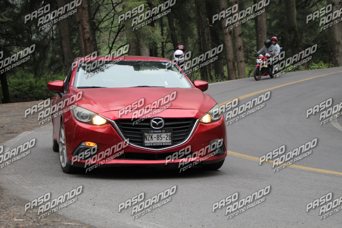 IMG 6216 wm 831131 5 watermarked — Postimages