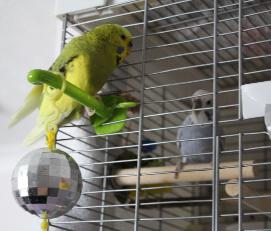 20231101102243 IMG 1450 — Postimages