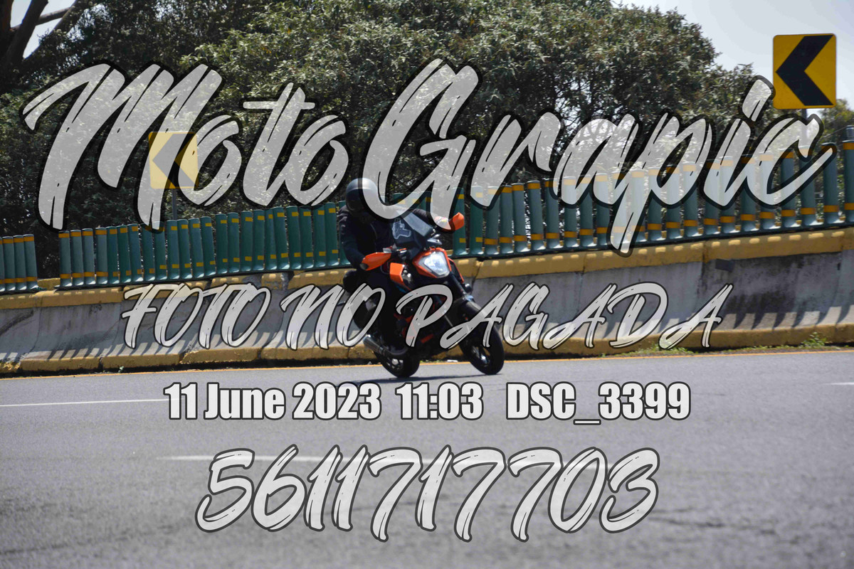 motgr DSC 3399 — Postimages