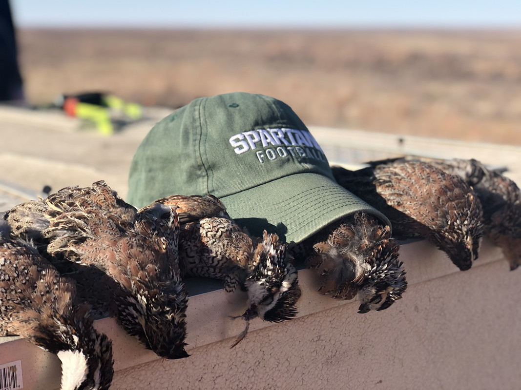 IMG 2274 — Postimages