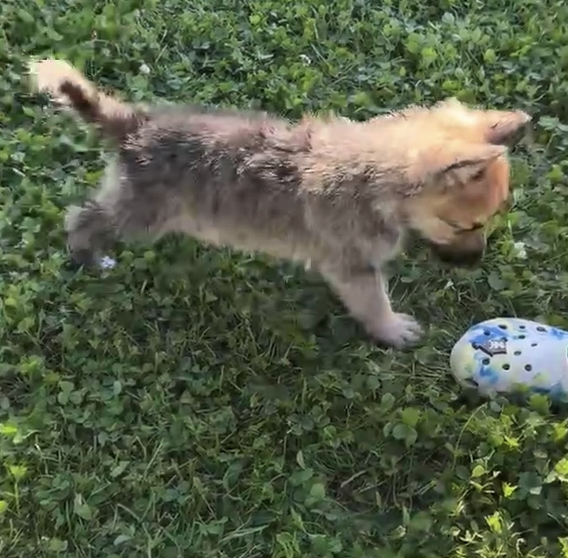 IMG 2539 — Postimages