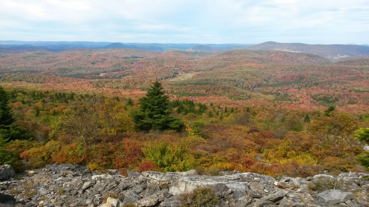 IMG 20240831 172809 — Postimages