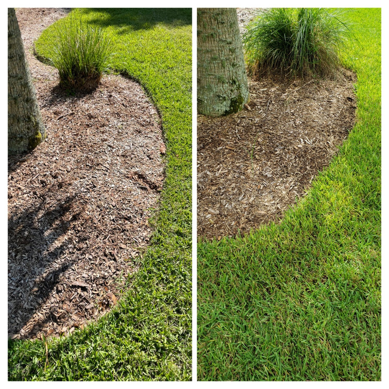 Yellowing St Augustine Lawn Care Forum 7507