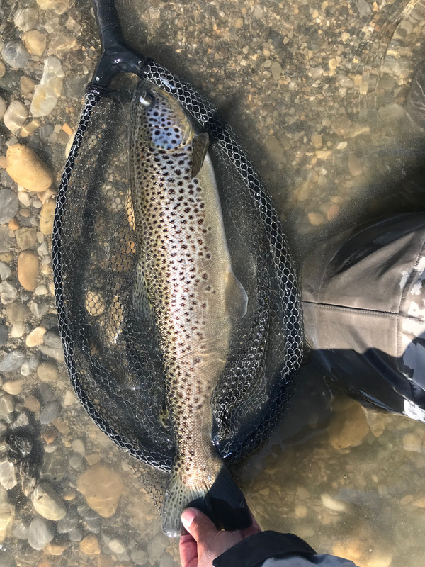 IMG 0775 — Postimages