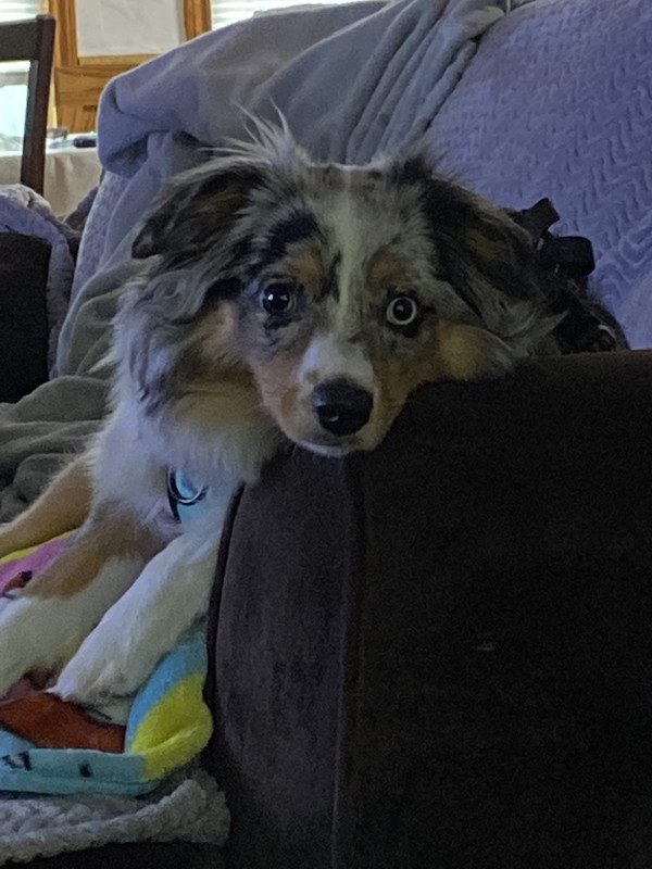 69 F1292 F F521 40 E7 85 A1 210 E8 E02 EAC1 — Postimages