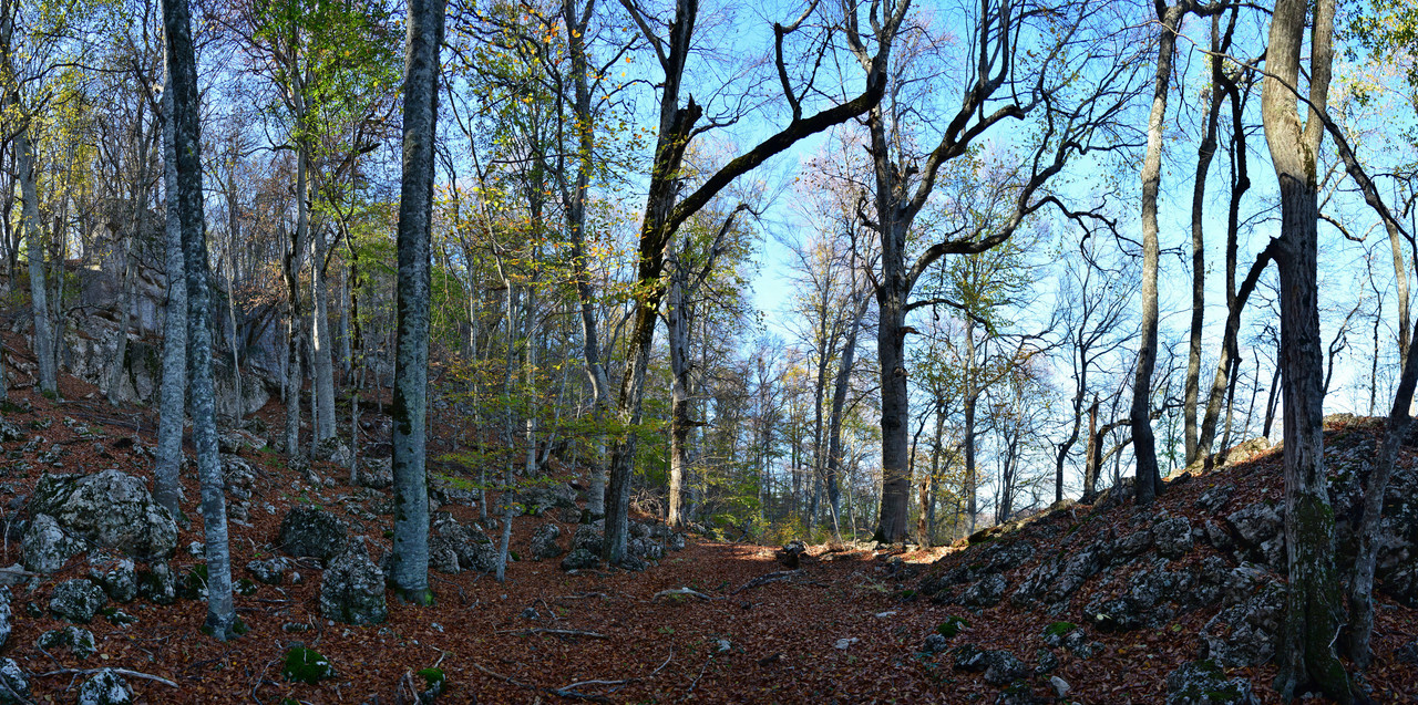 [ Group 64 ] DSC 6310 DSC 6322 13 images — Postimages