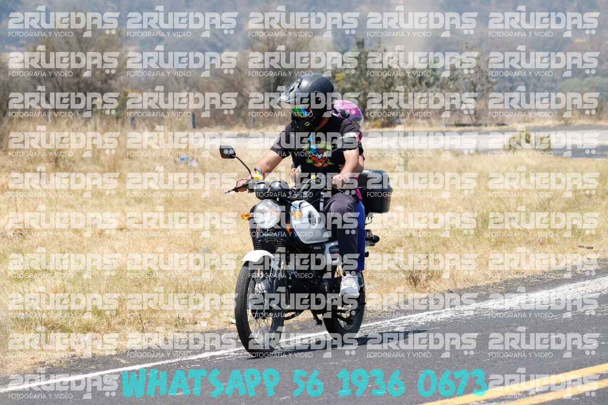 MG 1386 — Postimages