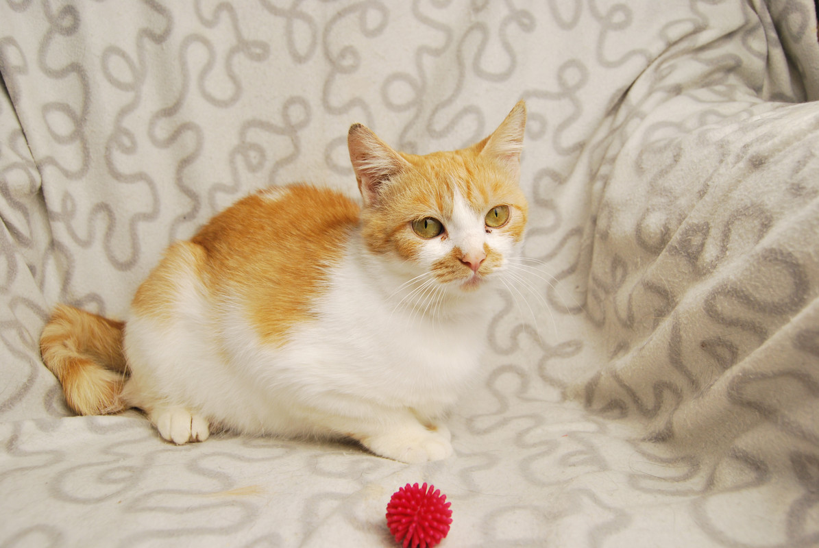 DSC 0661 — Postimages