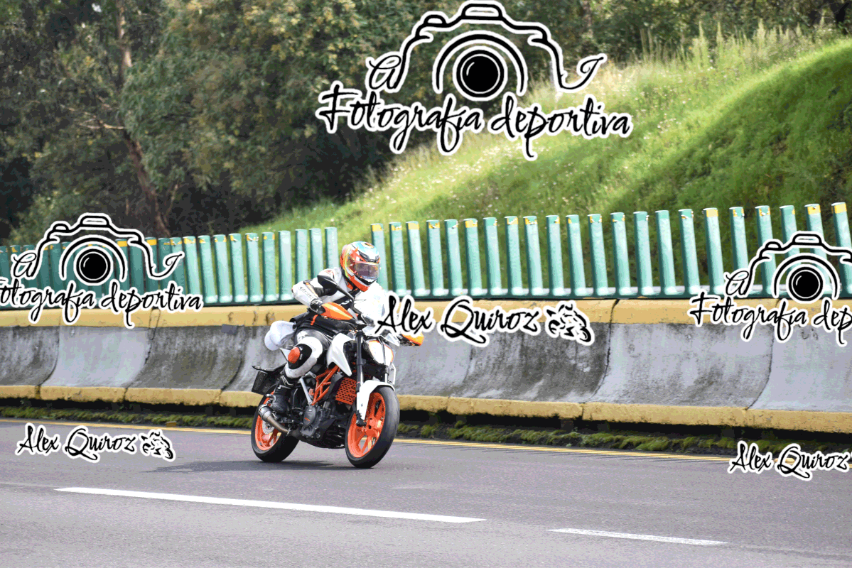 AVQ 5682 — Postimages