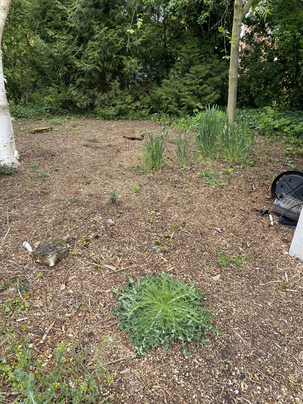 Newcomer starting a 20'000 Litre Natural (ish) Pond - Pond Design and ...