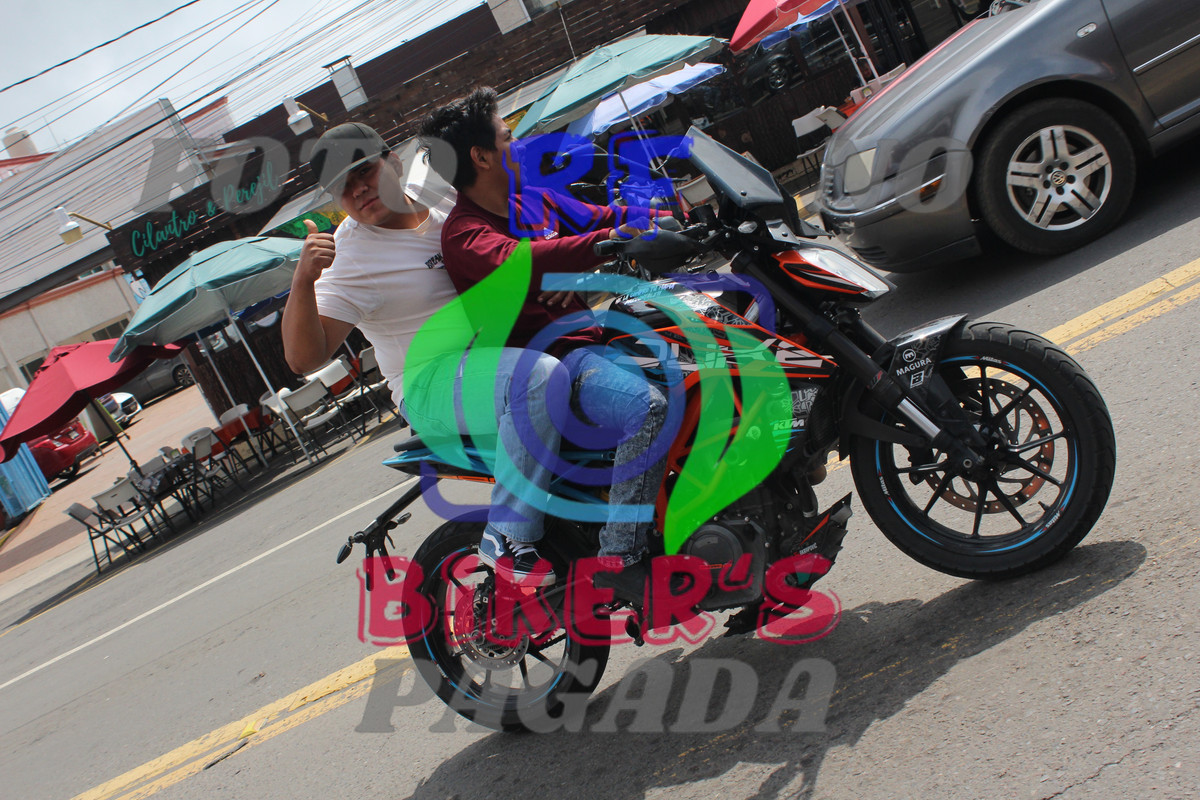 batch IMG 8968 — Postimages