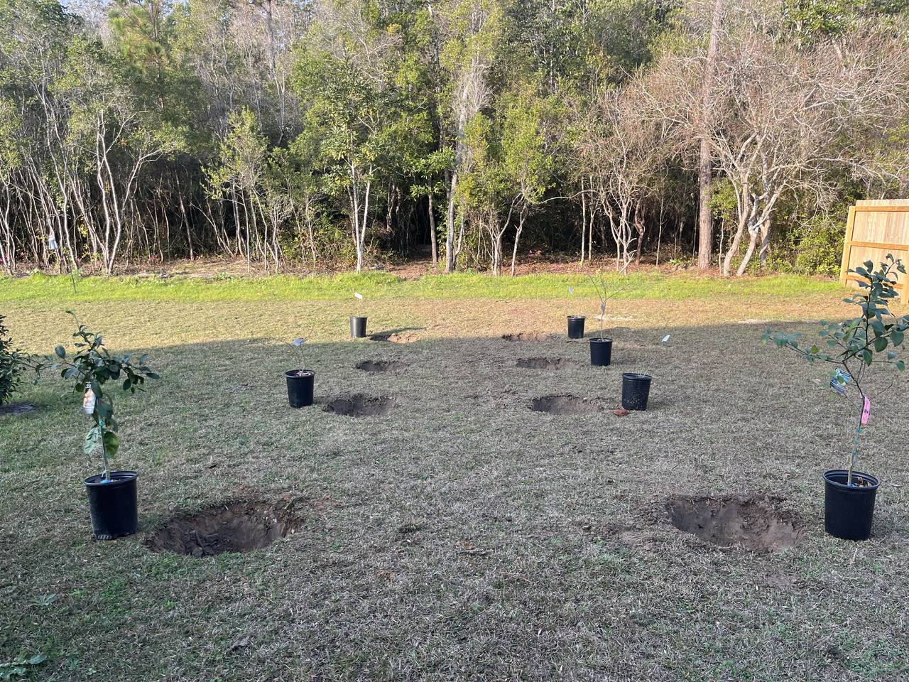 The Back Yard Is Coming Along - 24hourcampfire