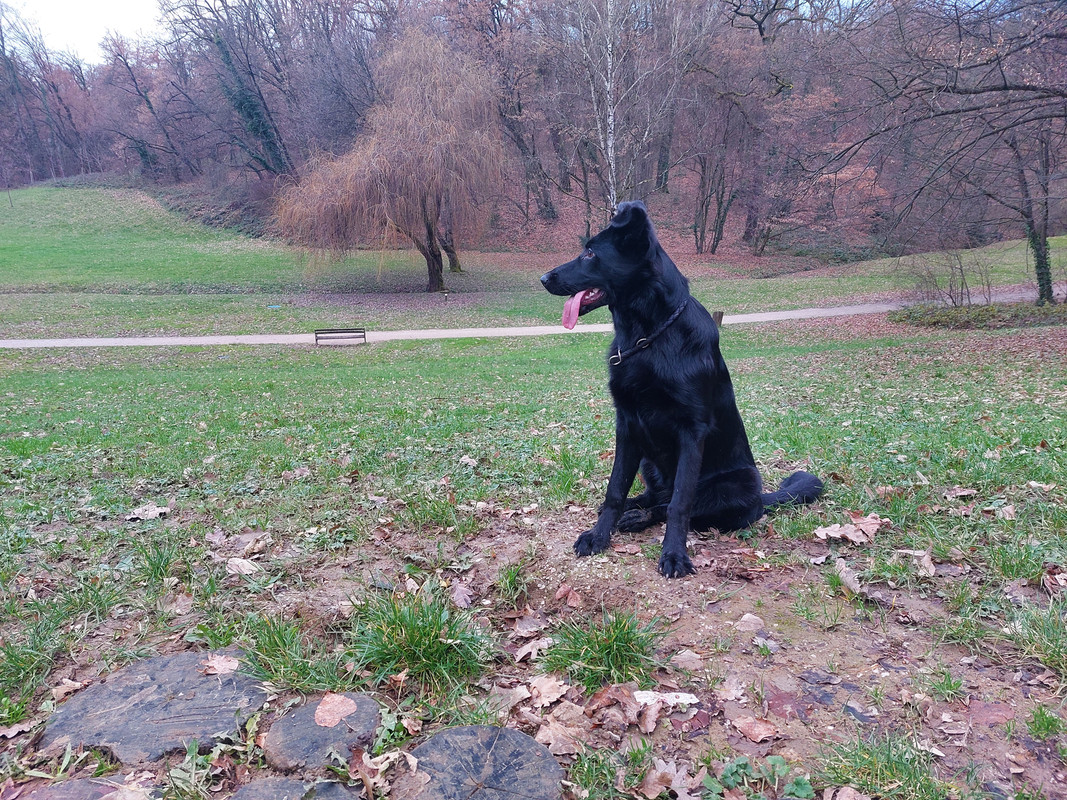 20221224 075448 — Postimages