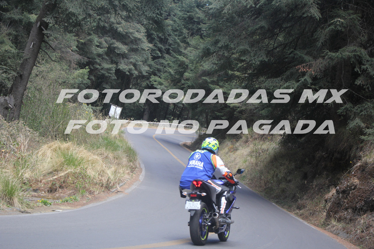 IMG 3458 — Postimages