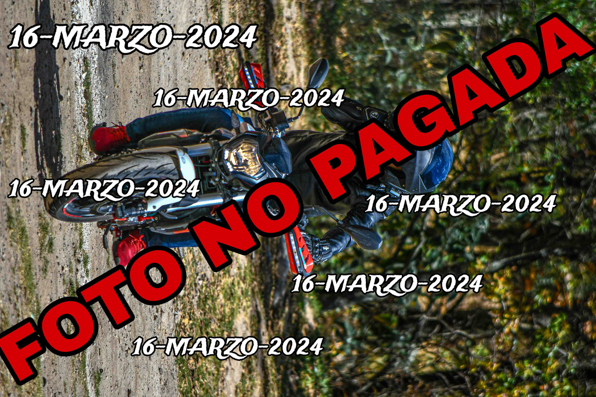 CC 141 — Postimages