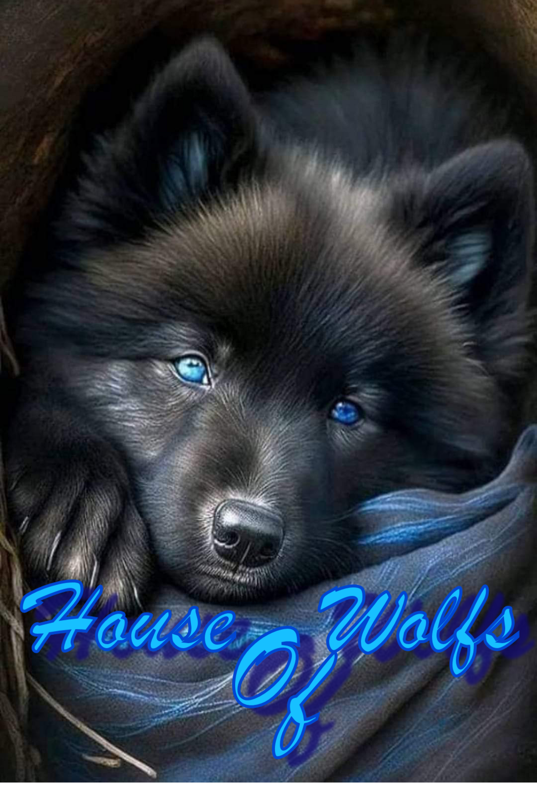 House o Wolves 01 — Postimages