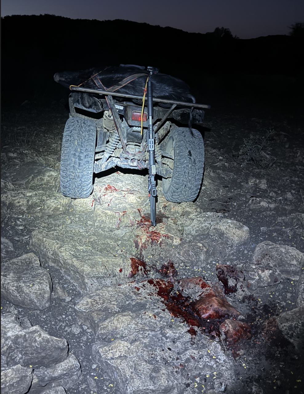 Screen Shot 2025 02 09 at 6 52 26 PM — Postimages