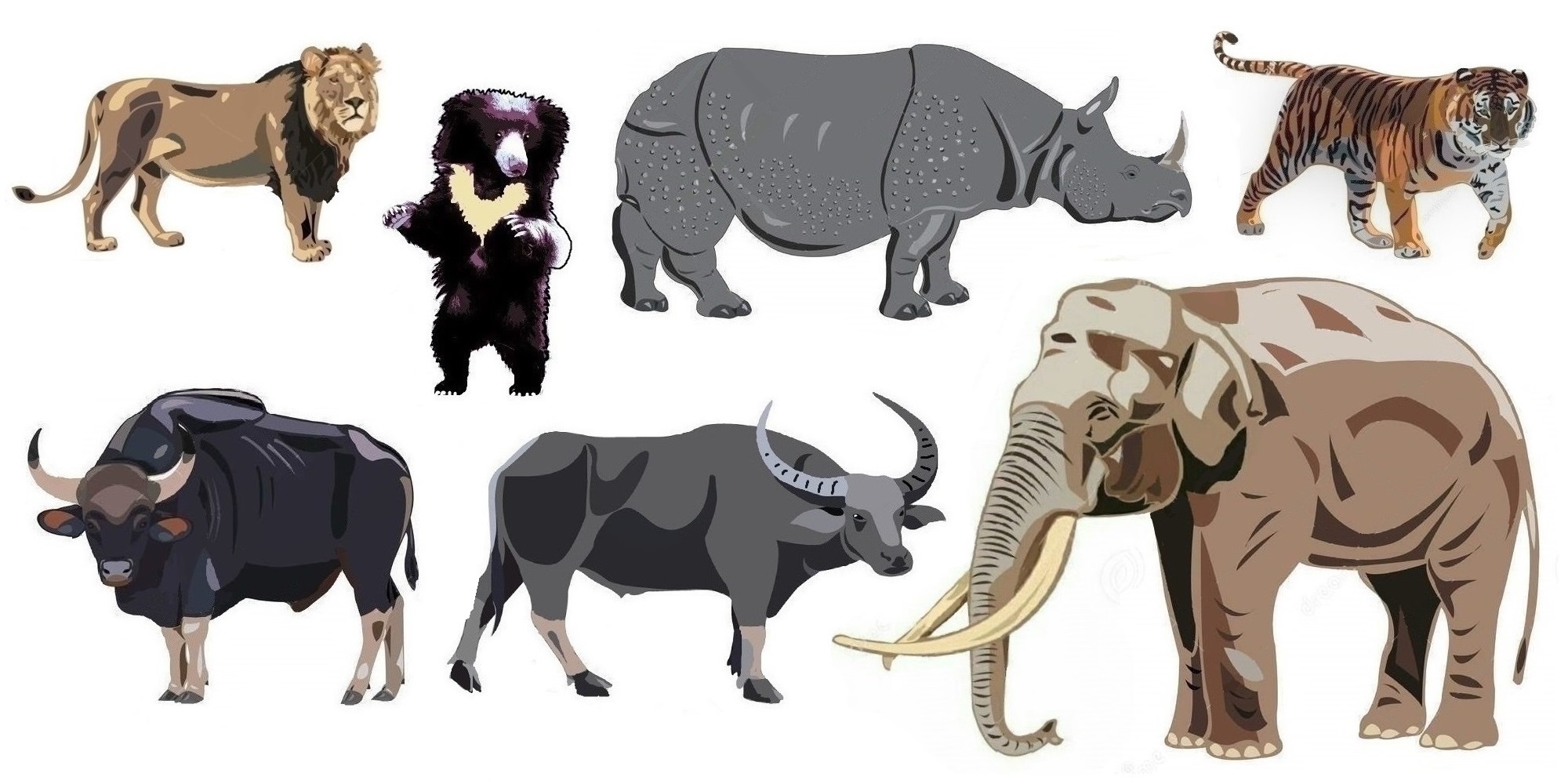 The Big Five of Asia