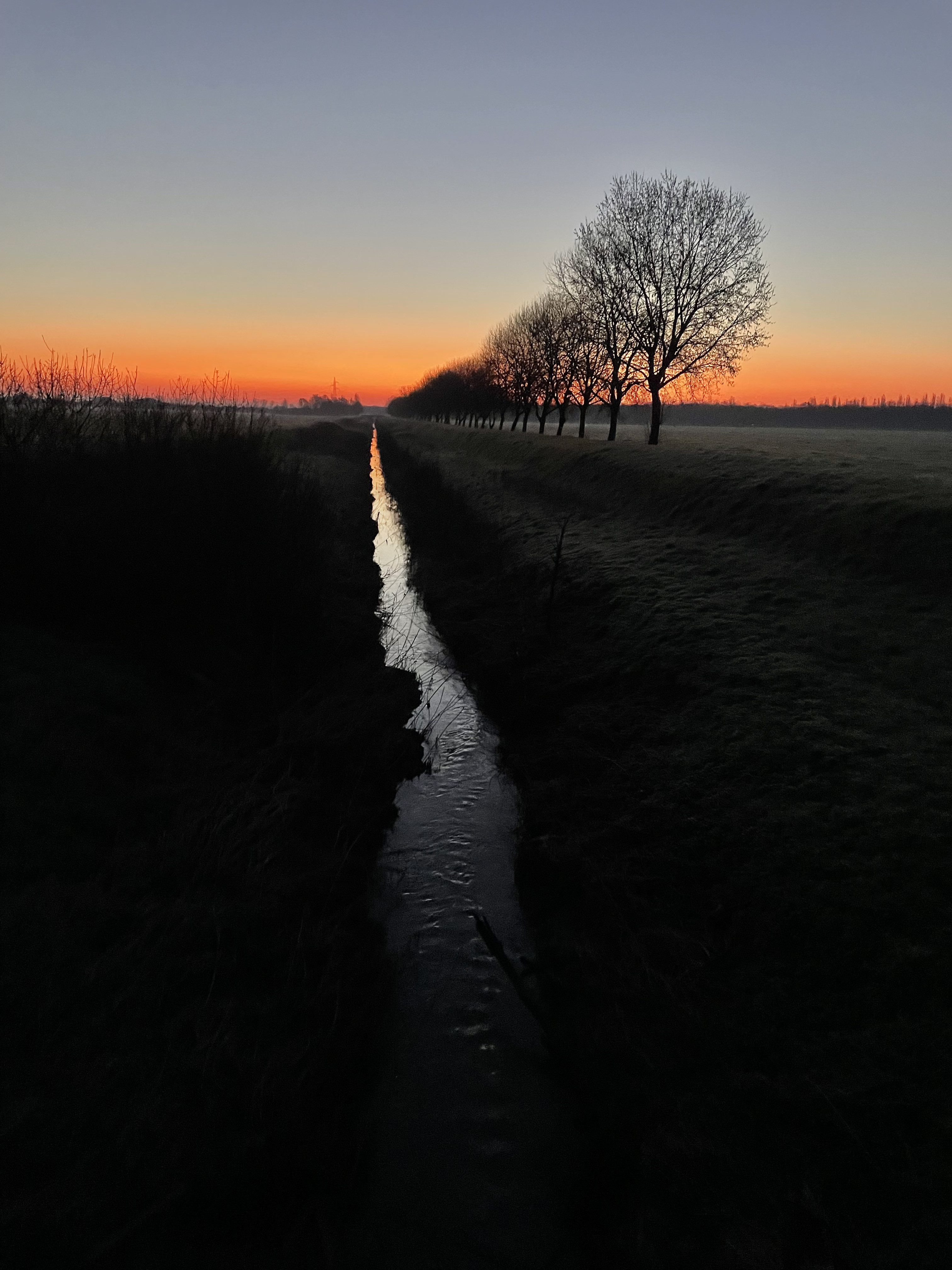 IMG 2368 — Postimages