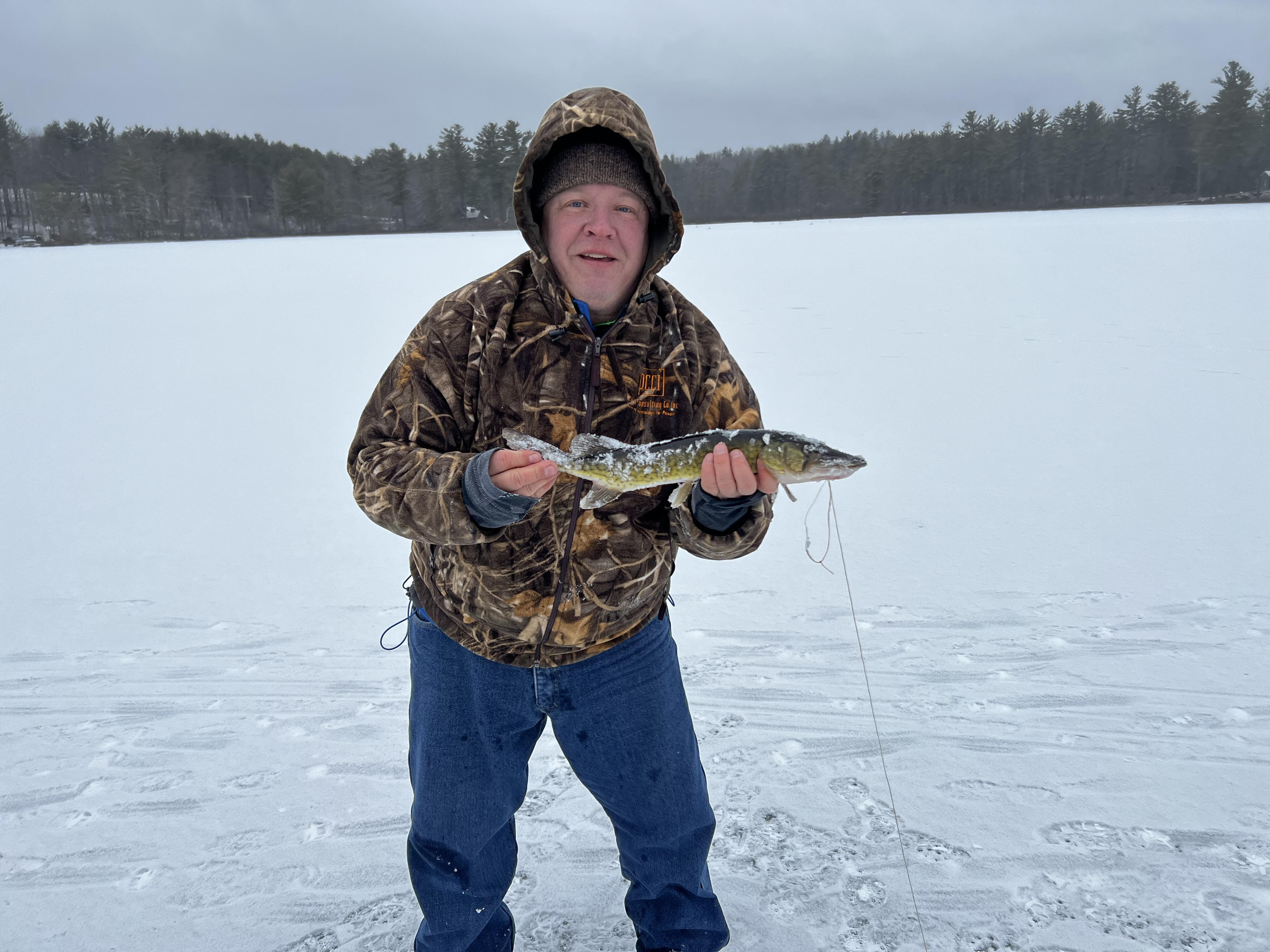 d 1 14 — Postimages