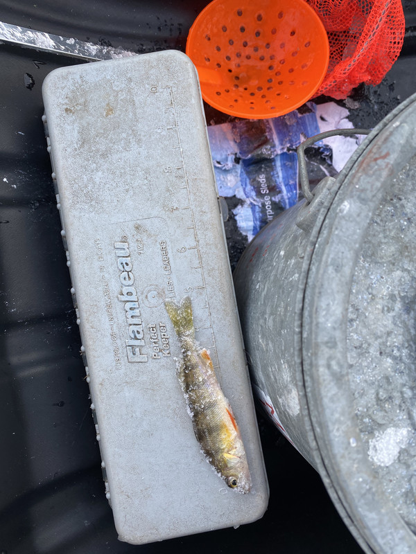 IMG 0069[1] — Postimages