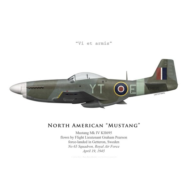 All the Mustang/P-51 Questions Here - Aircraft WWII - Britmodeller.com