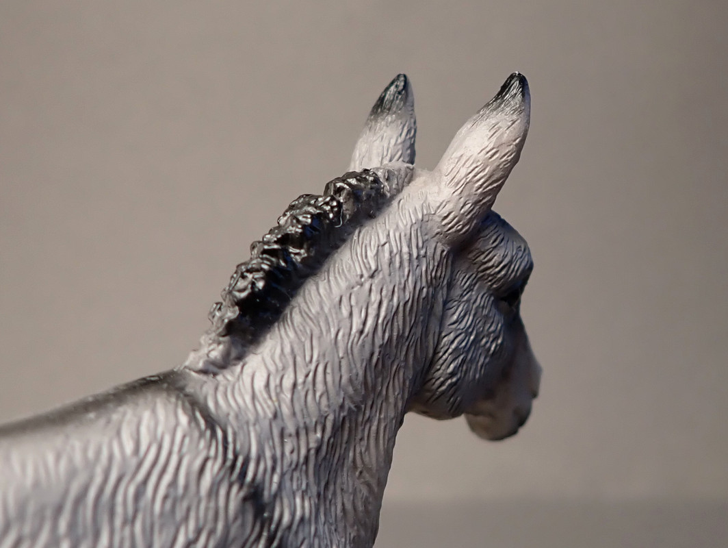 Lovely donkeys from Mojo 2020 :D