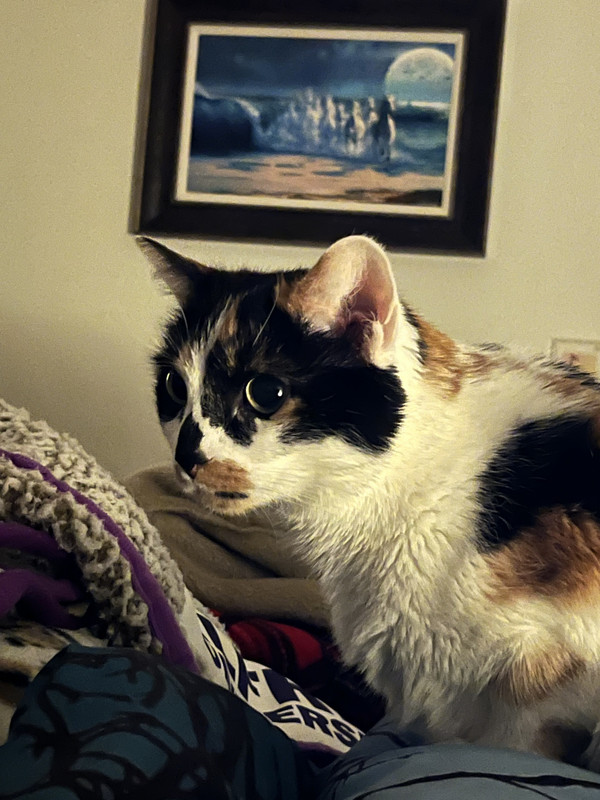 IMG 1554 — Postimages