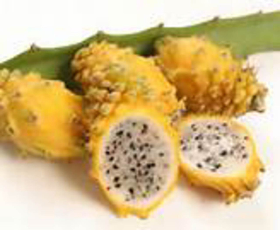 yellow dragon fruit — Postimages